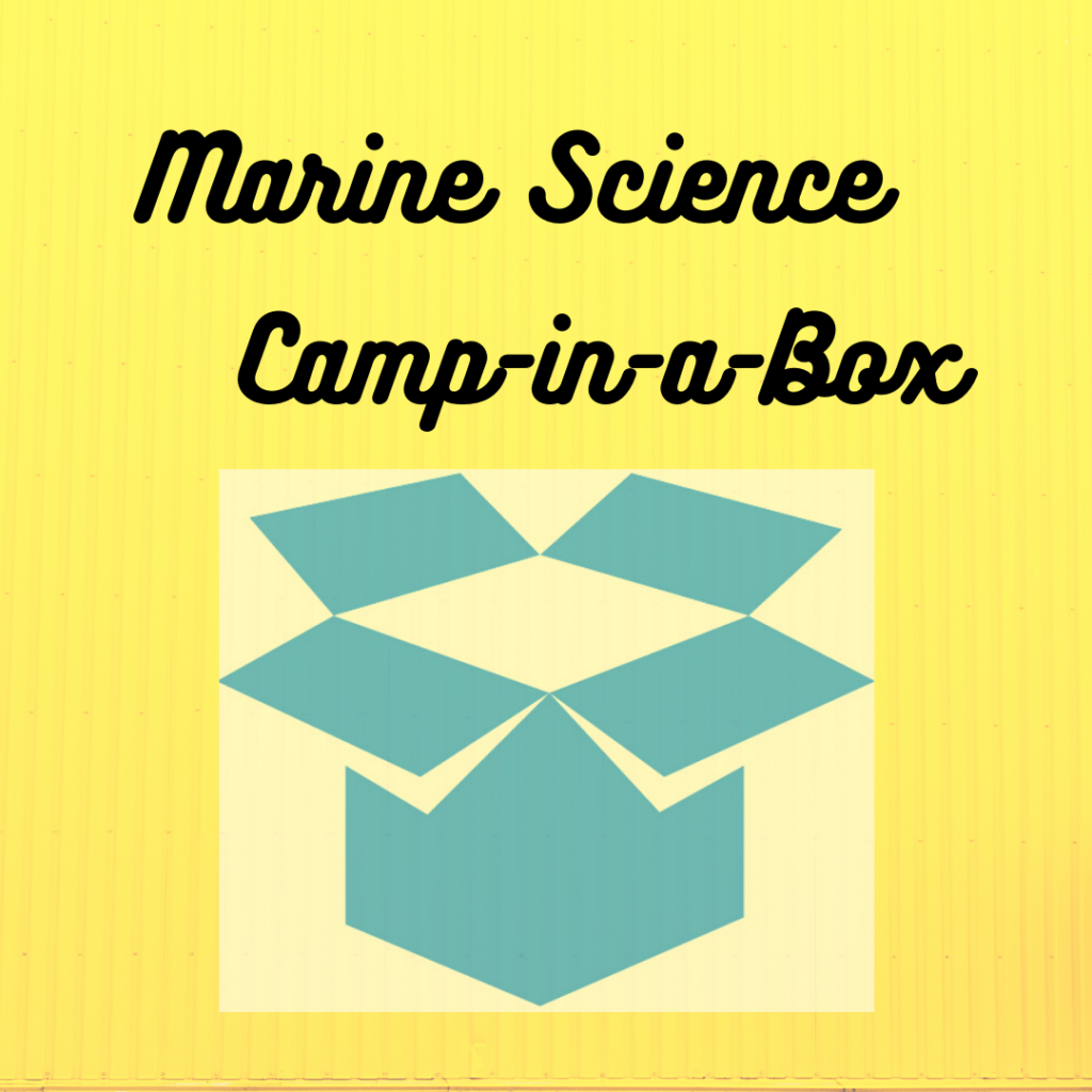 Virtual Marine Science Day Camp (cont.) - Sea Grant Sea Grant